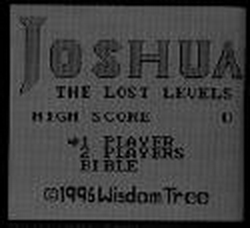 Download NIV Bible & the 20 Lost Levels of Joshua (Game Boy)| Emulator ...