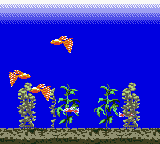 Download Aqualife (Game Boy Color)| Emulator games EmuBox